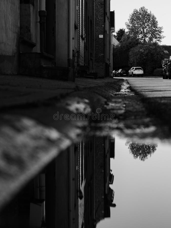 Street Art View Though a Rain Reflection Stock Photo - Image of white ...