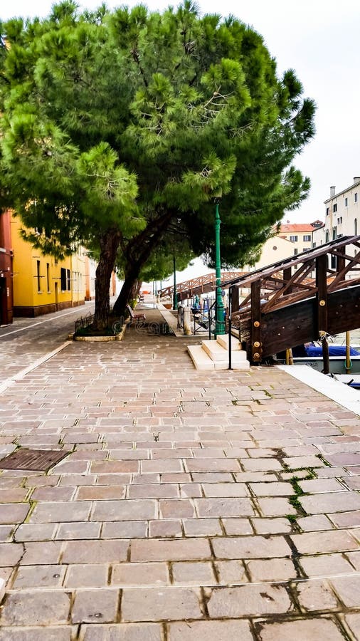 Street with Big Trees in Venice Stock Photo - Image of europe, house ...