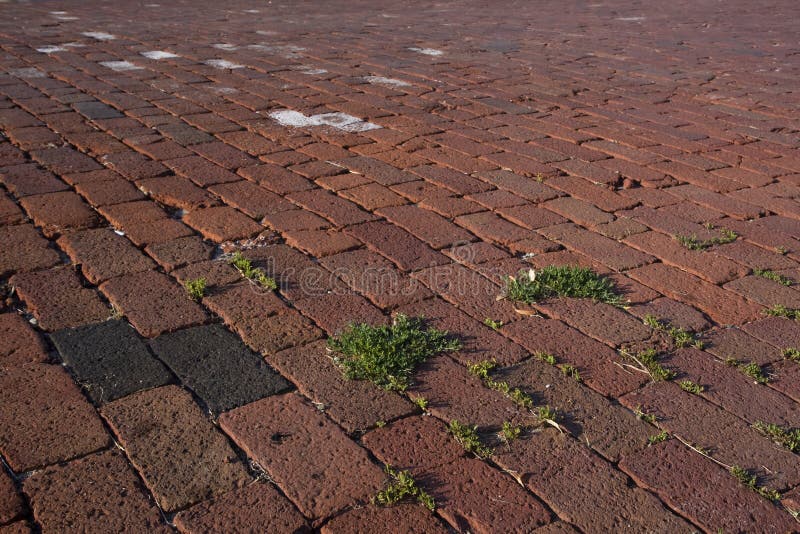 Brick Pavement stock photo. Image of pavement, masonry - 46185134