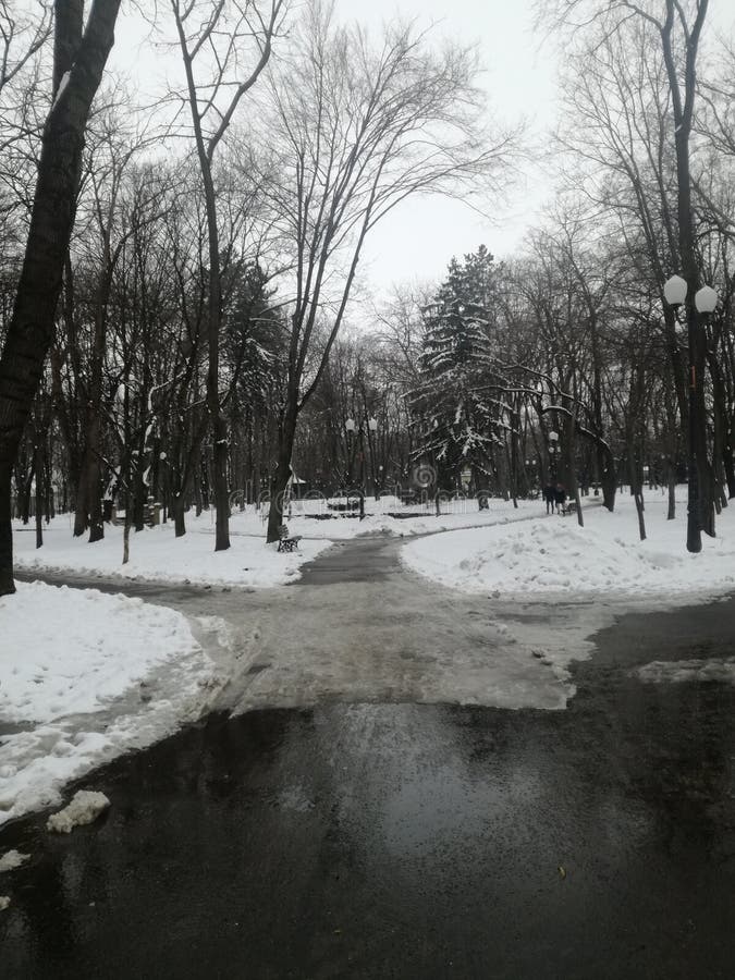 Street stock photo. Image of street, weather, cold, coldoutside - 112708998