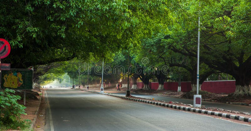Street covered with trees. stock image. Image of street - 71138409