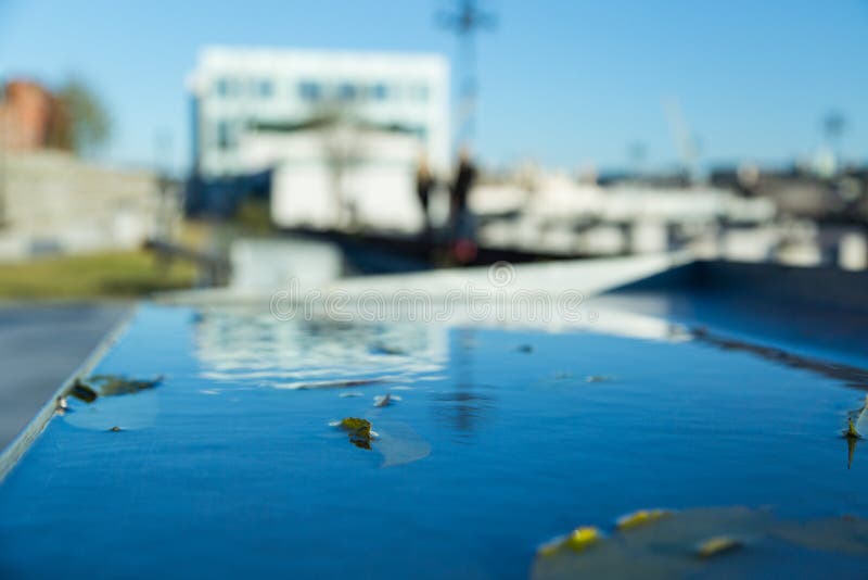Street Day, Reflection in the Water, a Leaf in the Water Stock Photo ...