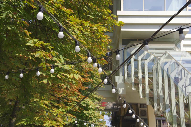 Street Decor and Lighting from Large Electric Light Bulbs with Yellow ...