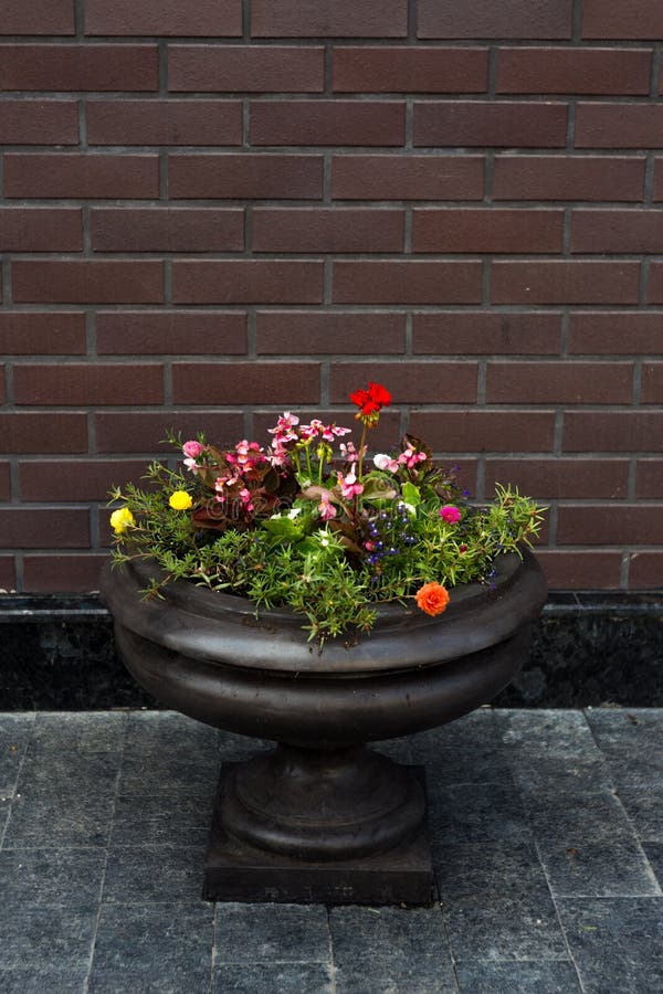 Street flower pot stock image. Image of beautiful, pink - 56486219