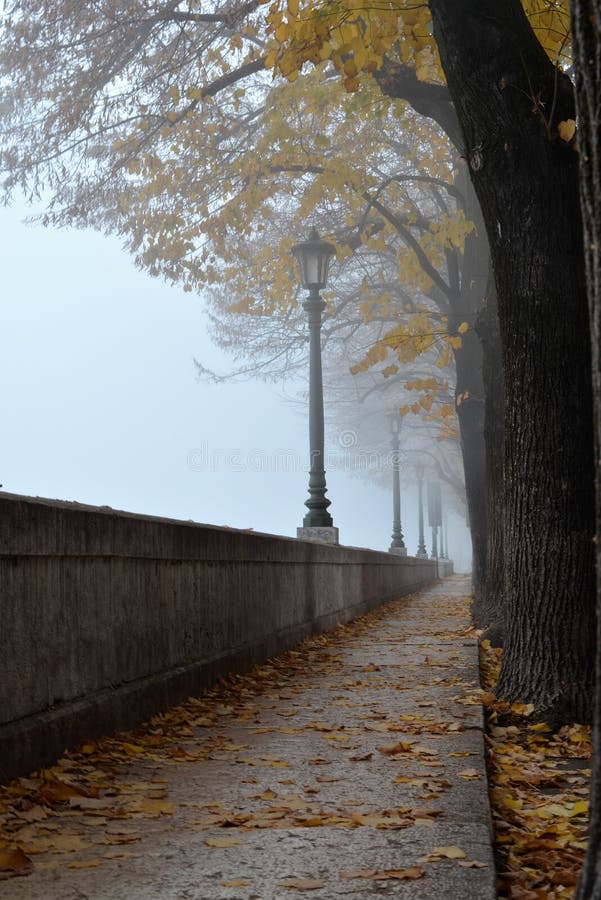 Street fog stock photo. Image of selected, street, cloudsn - 79608740