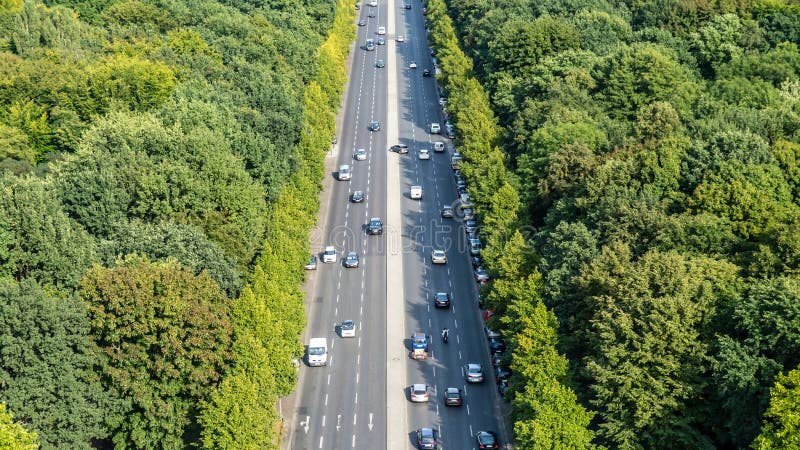 Street in a forest stock image. Image of forest, trees - 30298439