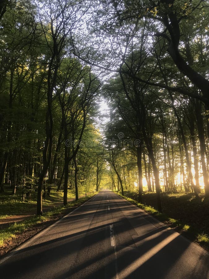 The street forward stock image. Image of forward, sunlight - 162937901