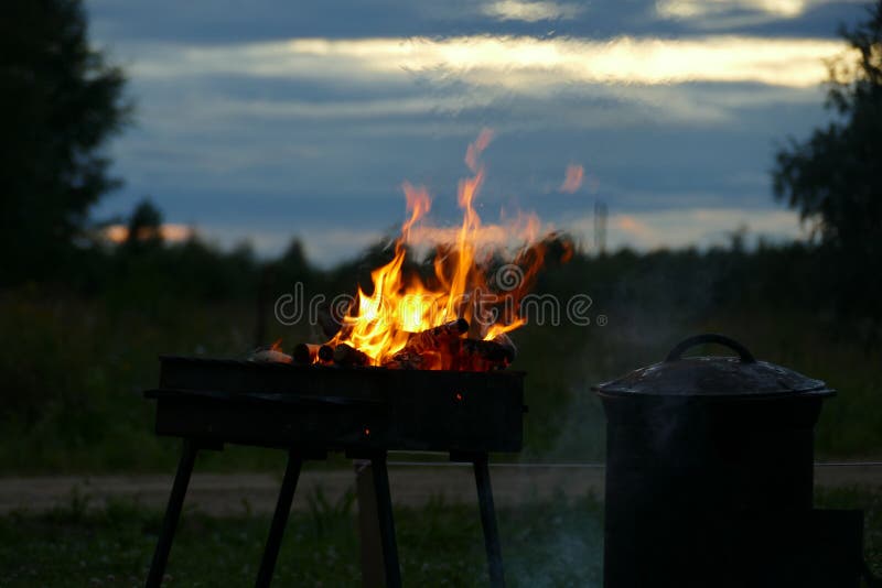 Street Grill Fire at Night. Nature the Photo Stock Photo - Image of ...