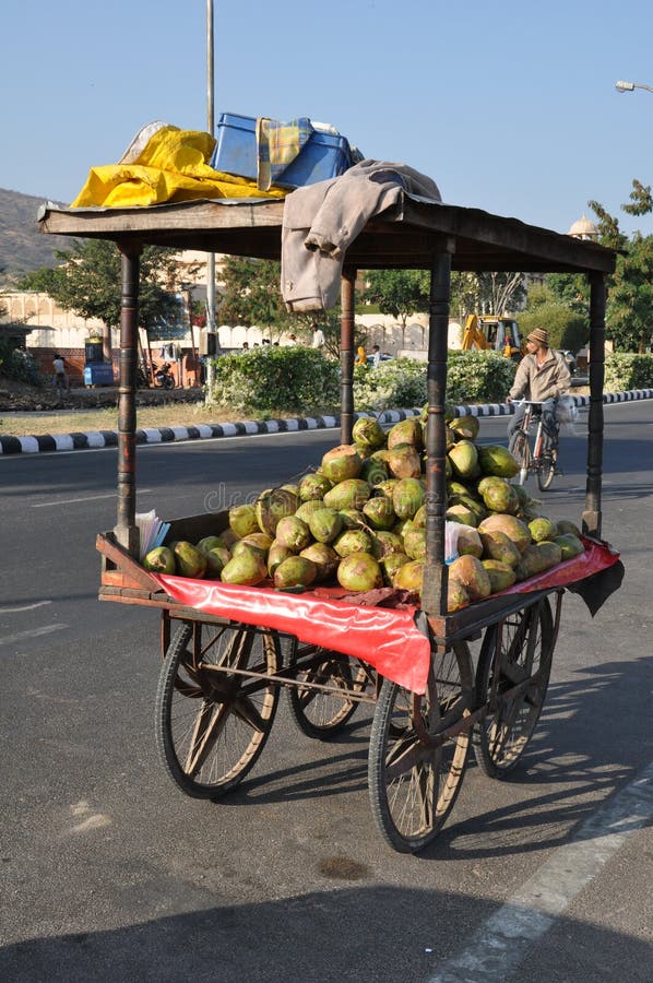 Street Hawker in Jaipur, India Editorial Photography - Image of fair ...