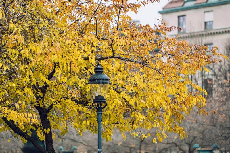 Street Lamp Against a Backdrop of a Brick Building on a Corner Street ...
