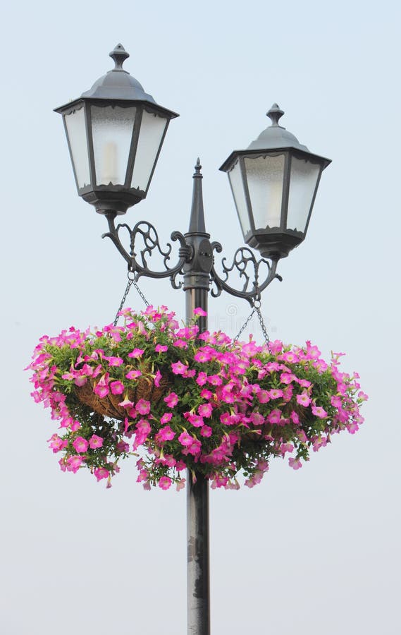Street lamp and flowers stock image. Image of flower - 10776483