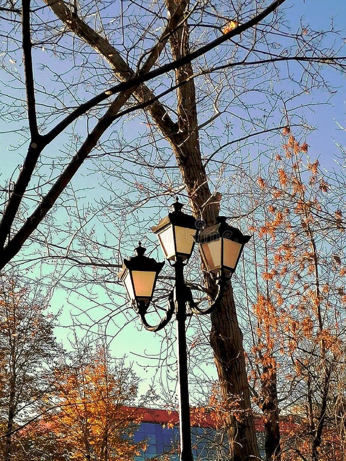 Street Lamp in the Glow of Autumn Stock Photo - Image of lighting ...