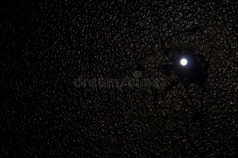 H4 Lamp - broken filament stock image. Image of filament - 269849229