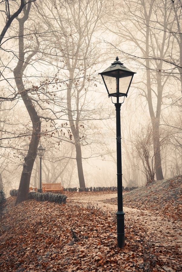 Street Lamp in Misty Autumn Forest Park Stock Photo - Image of gloomy ...