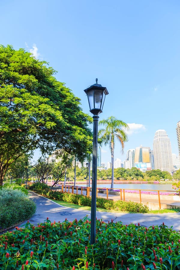 Street lamp in the park . stock photo. Image of foliage - 69917652