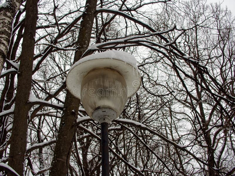 Street Lamp in the Park Covered with Snow Stock Image - Image of ...