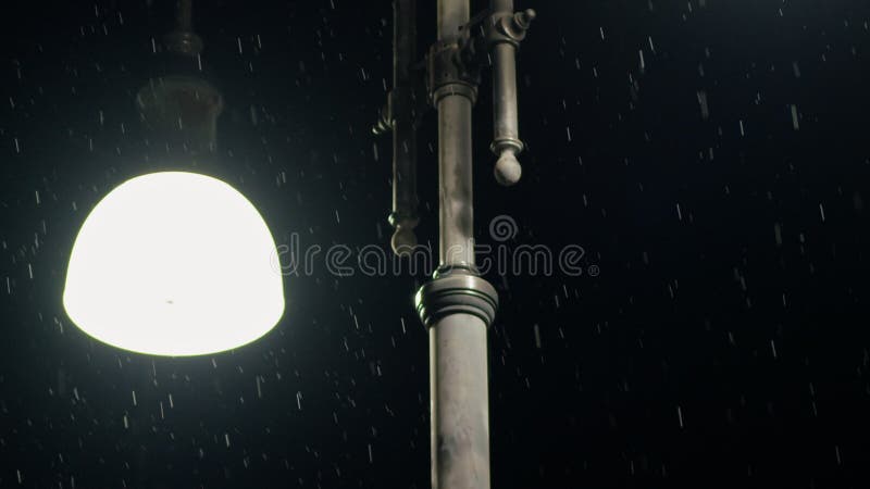 Rainy Weather in Mountains. Misty Fog Blowing Over Pine Tree Forest ...