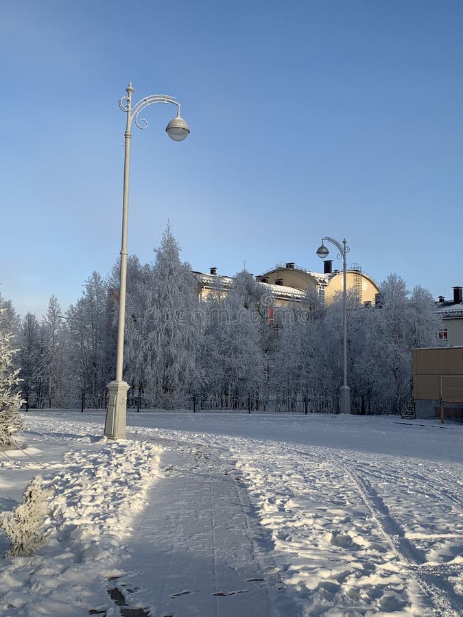 Street Lamp in the Snow. Path Strewn with Snow Stock Image - Image of ...
