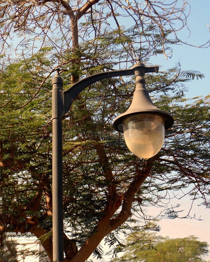 Street Lamp on a Tree Background. Stock Image - Image of street ...