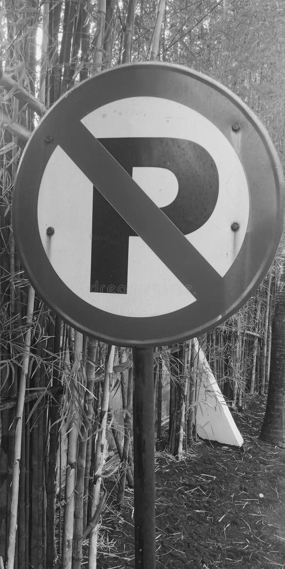 Street stock image. Image of lighting, stragle, advertising - 258644593