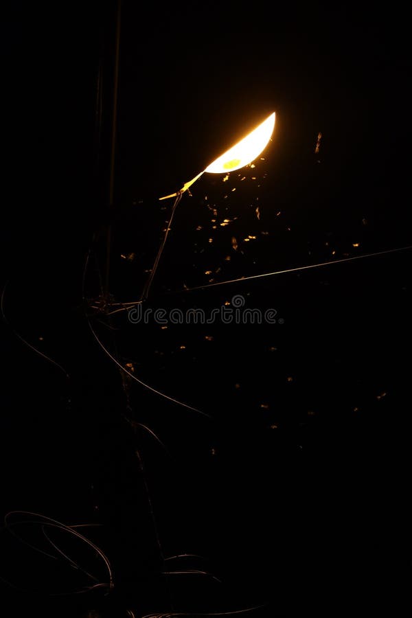 273 Street Light Insects Stock Photos - Free & Royalty-Free Stock ...