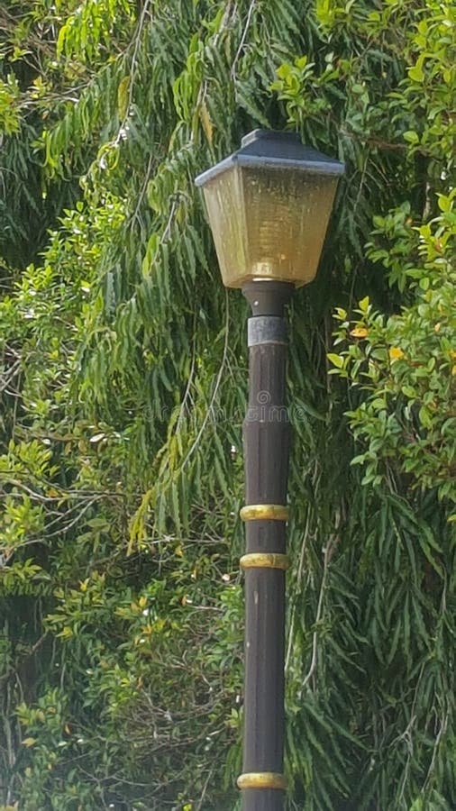 Street Light in the Daylight Stock Photo - Image of street, daylight ...