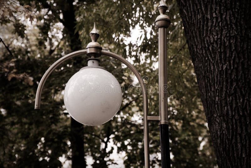 Street Light in Front of Trees with a Colorful Fall Foliage Stock Image ...