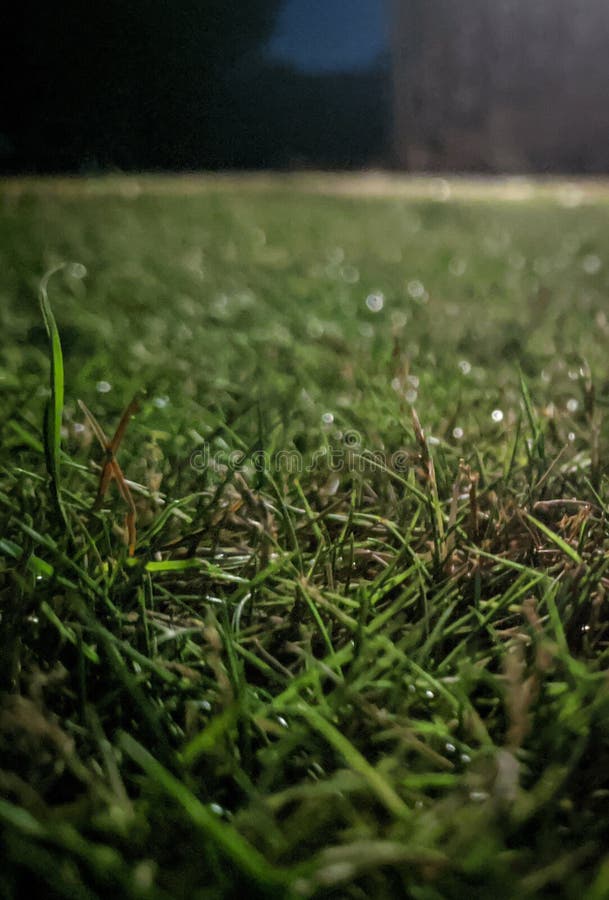 Street Light Grass stock image. Image of water, meadow - 178127605
