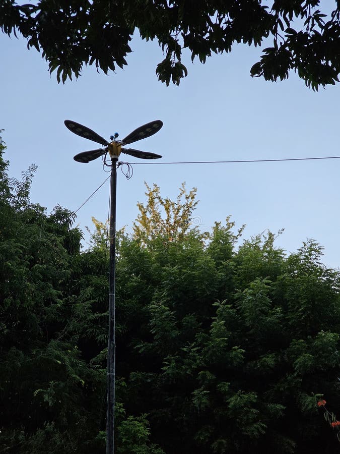 A Street Light in the Middle of the Trees with Sunlight Stock Image ...