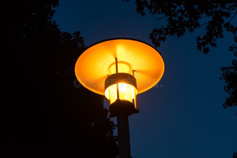 Street Light Night View Orange Light with Tree Stock Image - Image of ...