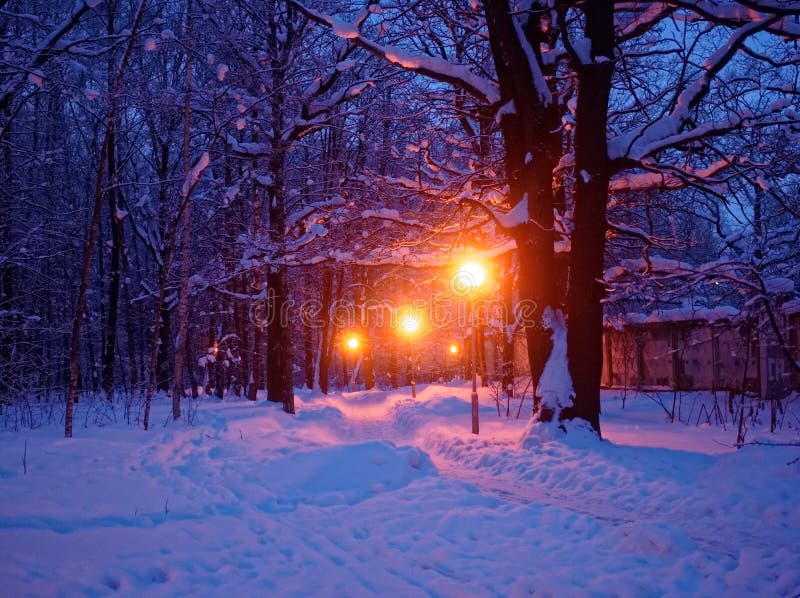 Street Light at Night in Winter Stock Photo - Image of cityscape ...