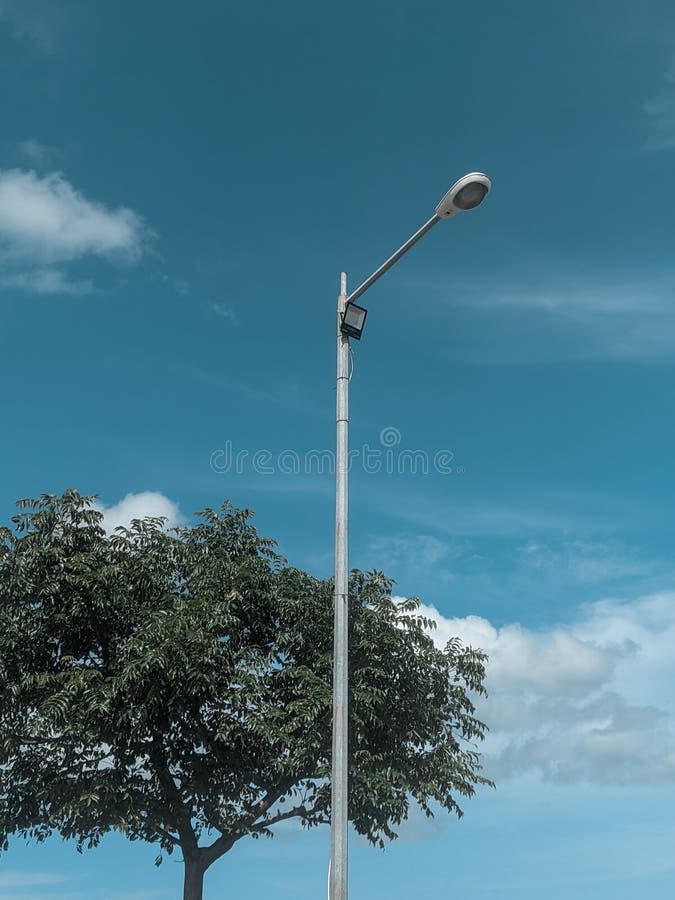 Street Light & the Tree Stock Image - Image of blue, light: 274717563