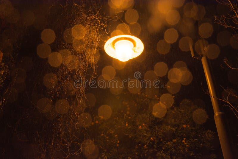 Street Light Under Light Drizzle Stock Image - Image of light, rain ...