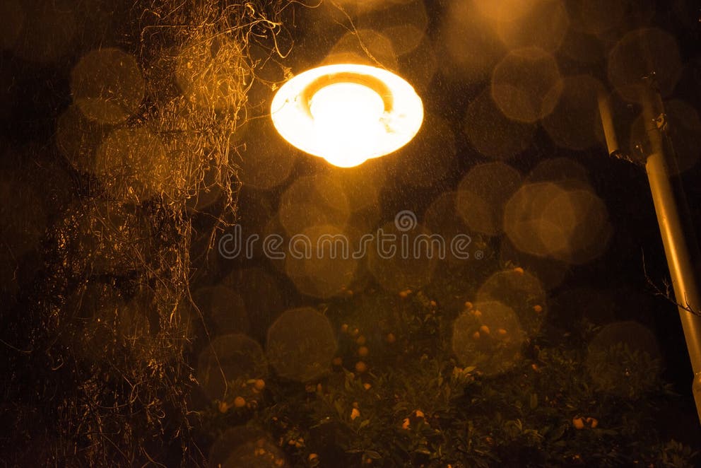 Street Light Under Light Drizzle Stock Photo - Image of rain, street ...