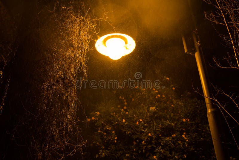 Street Light Under Light Drizzle Stock Photo - Image of illuminated ...