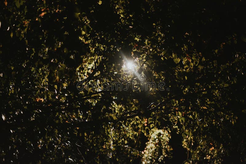 Street Lighting in the Form of Lanterns with Light Seeping between the ...