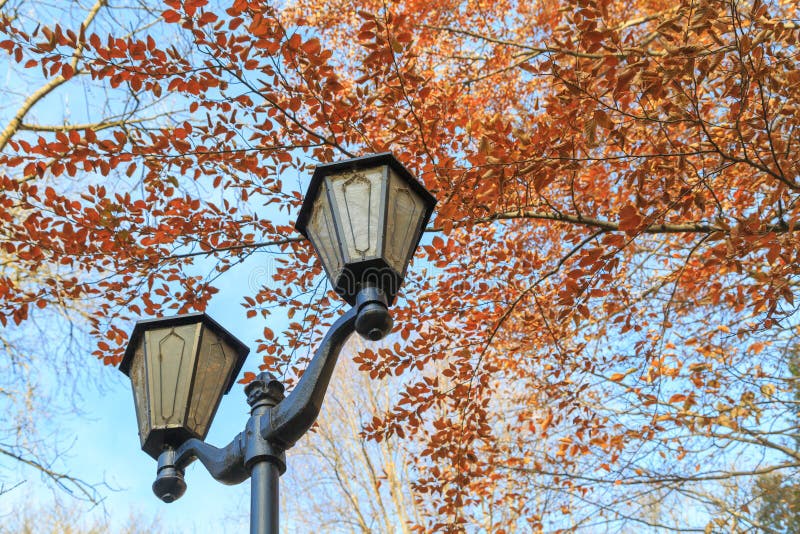 Street Lights Against the Blue Sky and Autumn Foliage Stock Photo ...