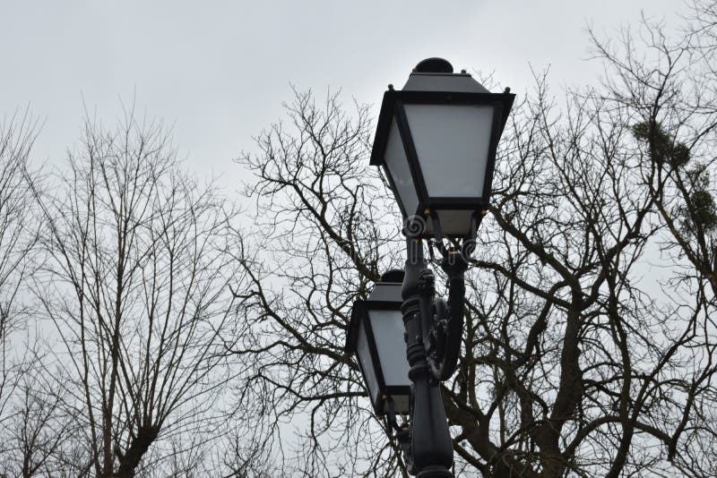 Street Lights on the Background of Trees Stock Photo - Image of ...