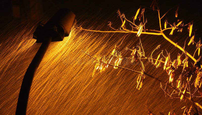 Blizzard at Night in City. Light in Dark Stock Image - Image of frozen ...