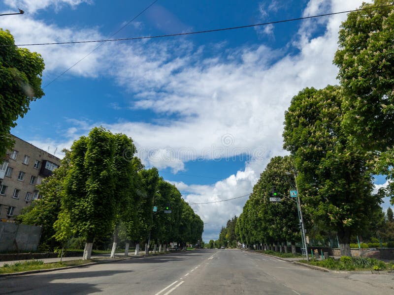 A Street Lined with Trees and a Blue Sky with Clouds Stock Photo ...