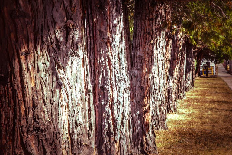 Old Seahawk Lo Stock Photos - Free & Royalty-Free Stock Photos from ...