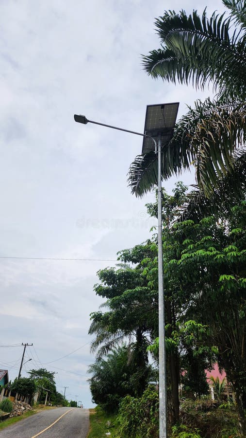 Street Light Poles Equipped with Mini Solar Power Generators in the ...