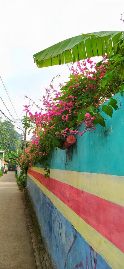 Street in nature stock photo. Image of wall, flowers - 202237508