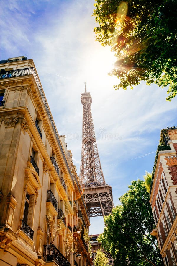 Street of Paris in summer stock photo. Image of building - 66459694