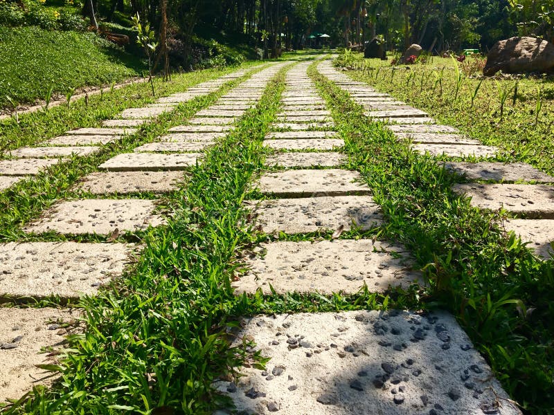 Street Path Paved with Concrete Tiles between Which Grass Grows Stock ...