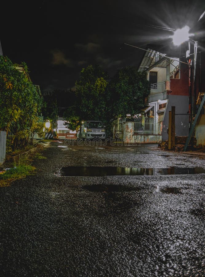 Street photo at night editorial stock photo. Image of tree - 261837503