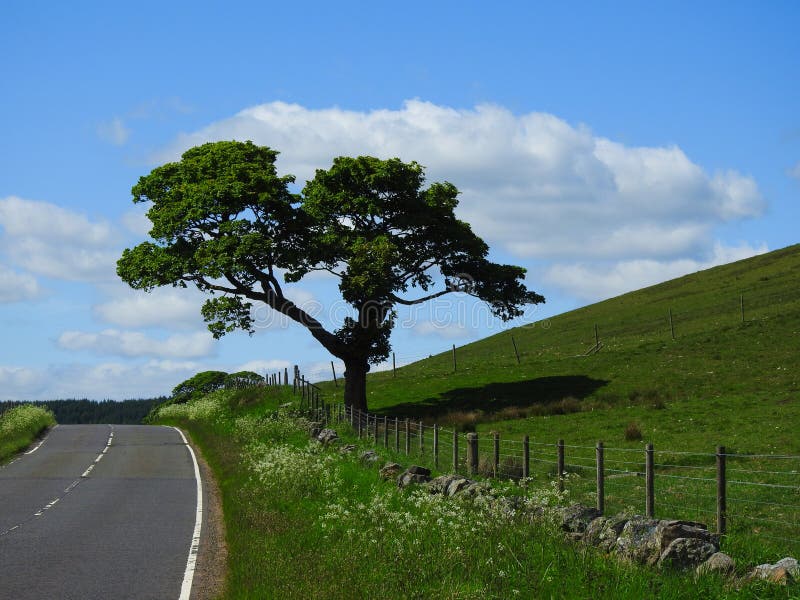 Road Vedge Stock Photos - Free & Royalty-Free Stock Photos from Dreamstime