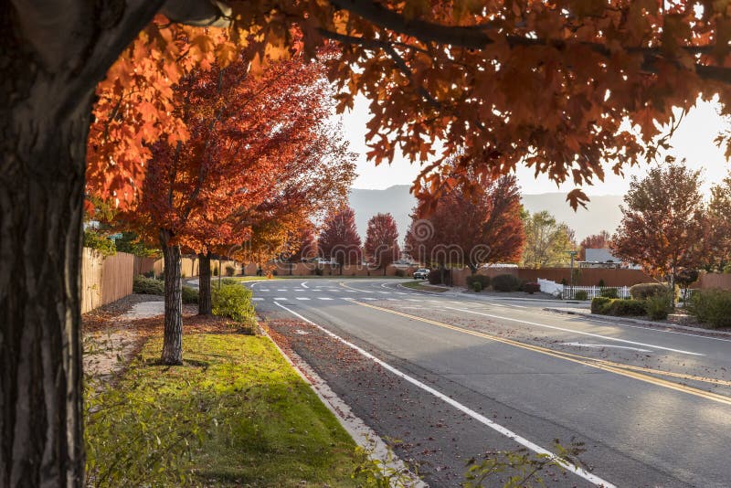 Street Running through Autumn Colored Trees Lined Area with Crosswalks ...
