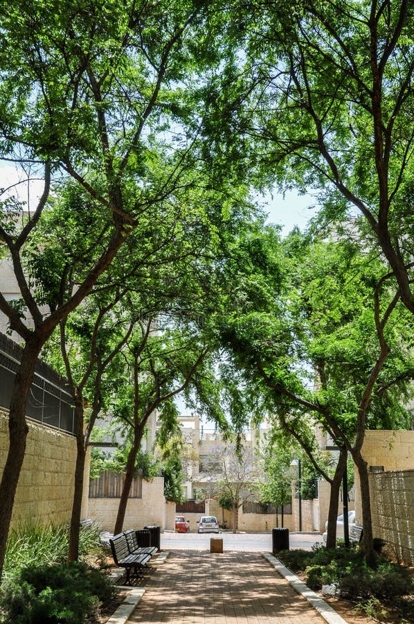 830 Residential Shade Trees Stock Photos - Free & Royalty-Free Stock ...