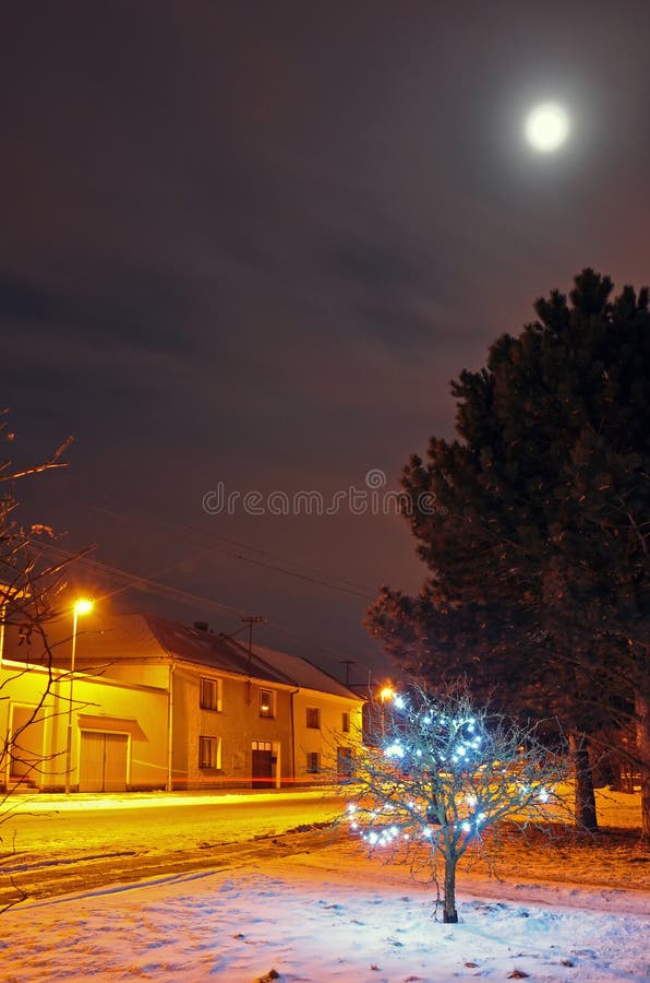 Street with Shining Tree and Street Lamp. Stock Photo - Image of ...